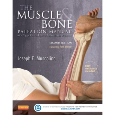The Muscle and Bone Palpation Manual with Trigger Points, Referral ...