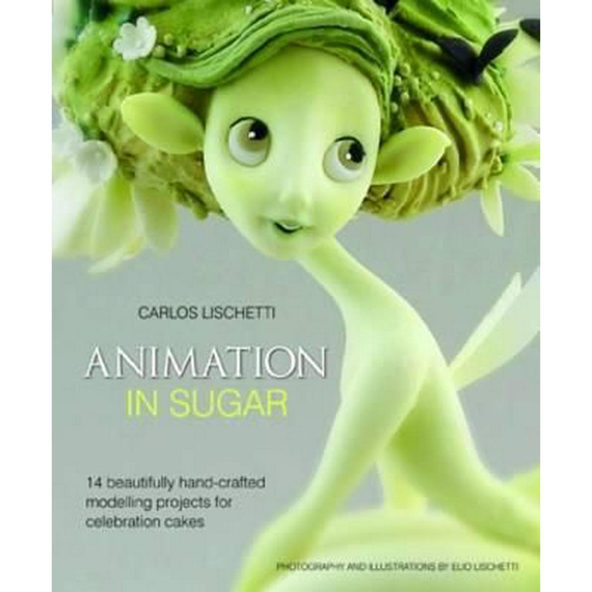Animation in Sugar 14 Beautifully Hand-Crafted Modelling Projects for ...