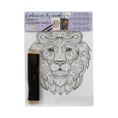 Set carte de colorat pe numere A4 cu 5 modele 110gr si 5 creioane ...