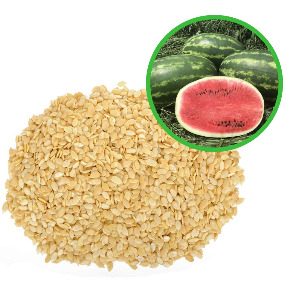 Pepene verde Citrullus Lanatus, MeLina F1, 1000 seminte - eMAG.ro