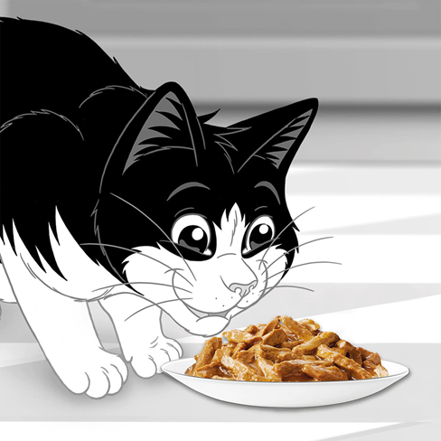 Hrana umeda pentru pisici Felix Fantastic Somon, Peste Cambula in Aspic ...