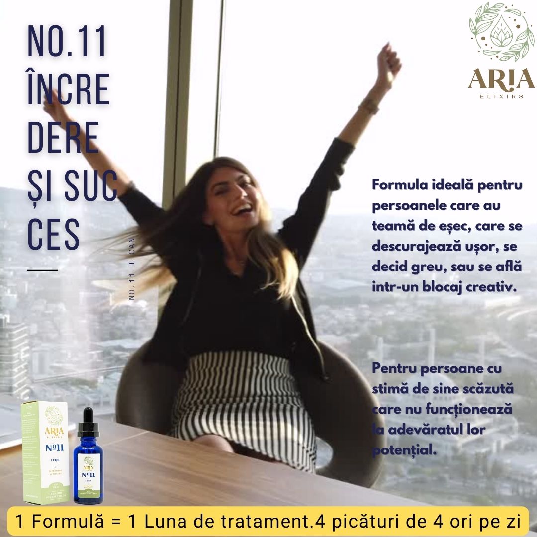 No.11 I can - Incredere si succes, Aria Elixirs, cu Remedii florale ...