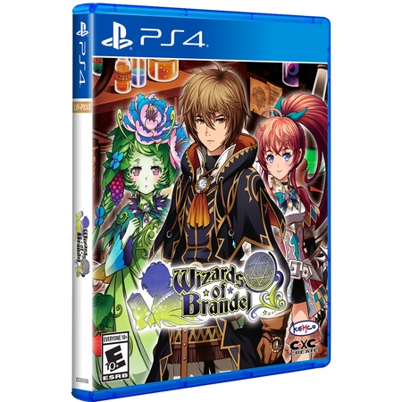 Joc Wizards Of Brandel Pentru PlayStation 4 - eMAG.ro