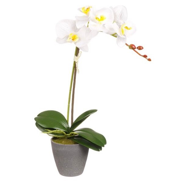 Set 4 orhidee decorative, artificiale, multicolora, 38 x 10 cm - eMAG.ro