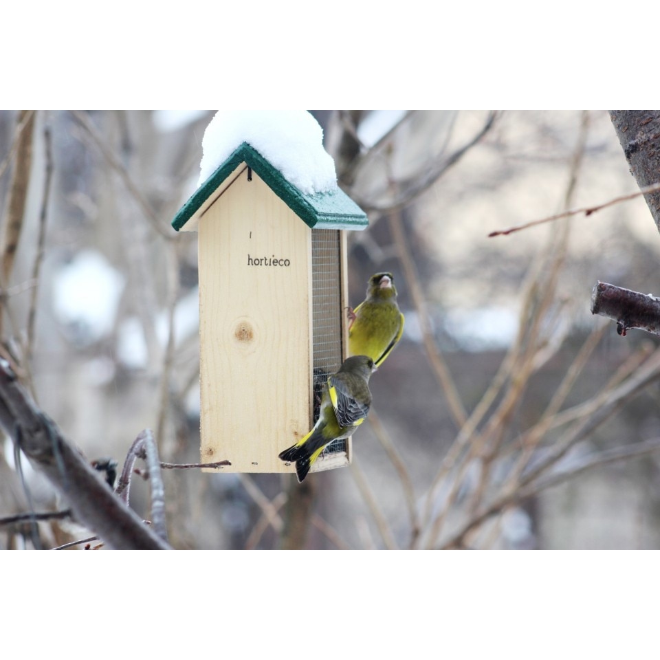 Hranitoare pentru pasari salbatice Hortieco, acoperis verde, rezervor 1 kg, 20x15x27 cm - eMAG.ro