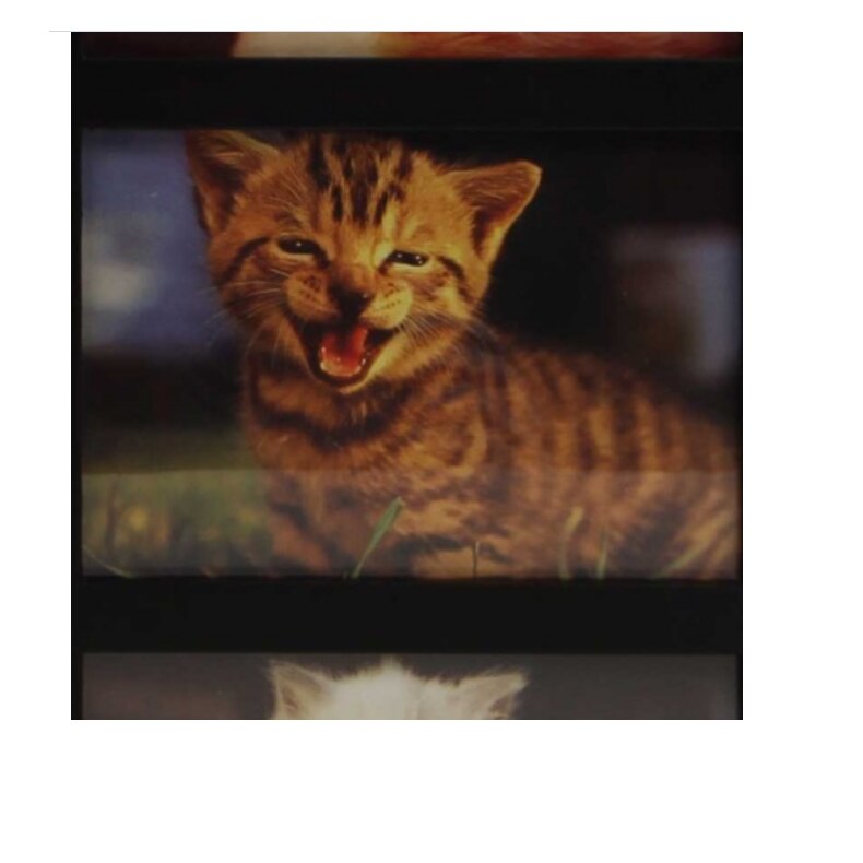 Ceas de perete, cats model, analog, patrat, din plastic, 30 x 30 x 4.2 ...