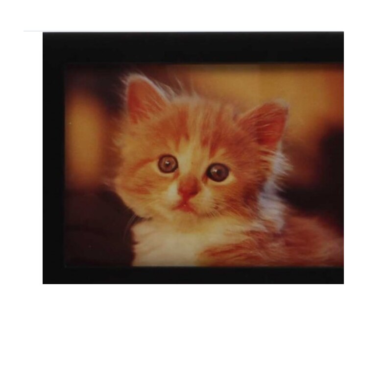 Ceas de perete, cats model, analog, patrat, din plastic, 30 x 30 x 4.2 ...