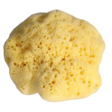 Burete natural de mare Fine Dama R19/125 - eMAG.ro