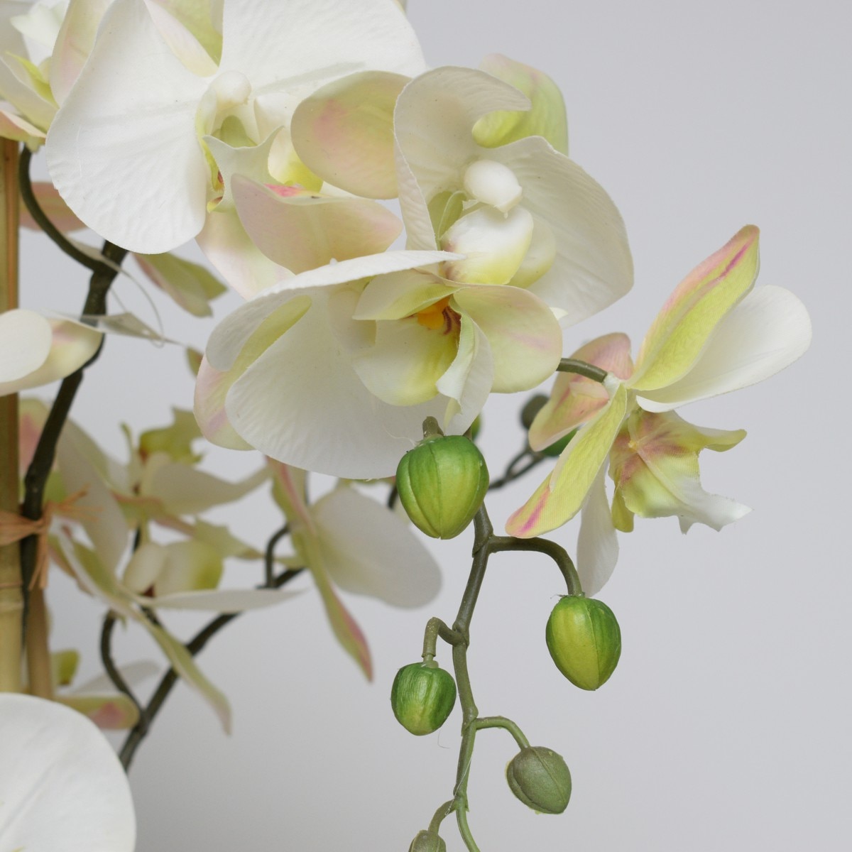 Orhidee alba artificiala in giveci, silicon, aspect 100% natural, 67 cm ...