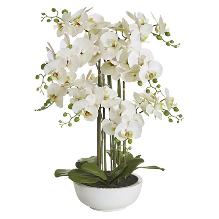 Orhidee alba artificiala in giveci, silicon, aspect 100% natural, 67 cm ...