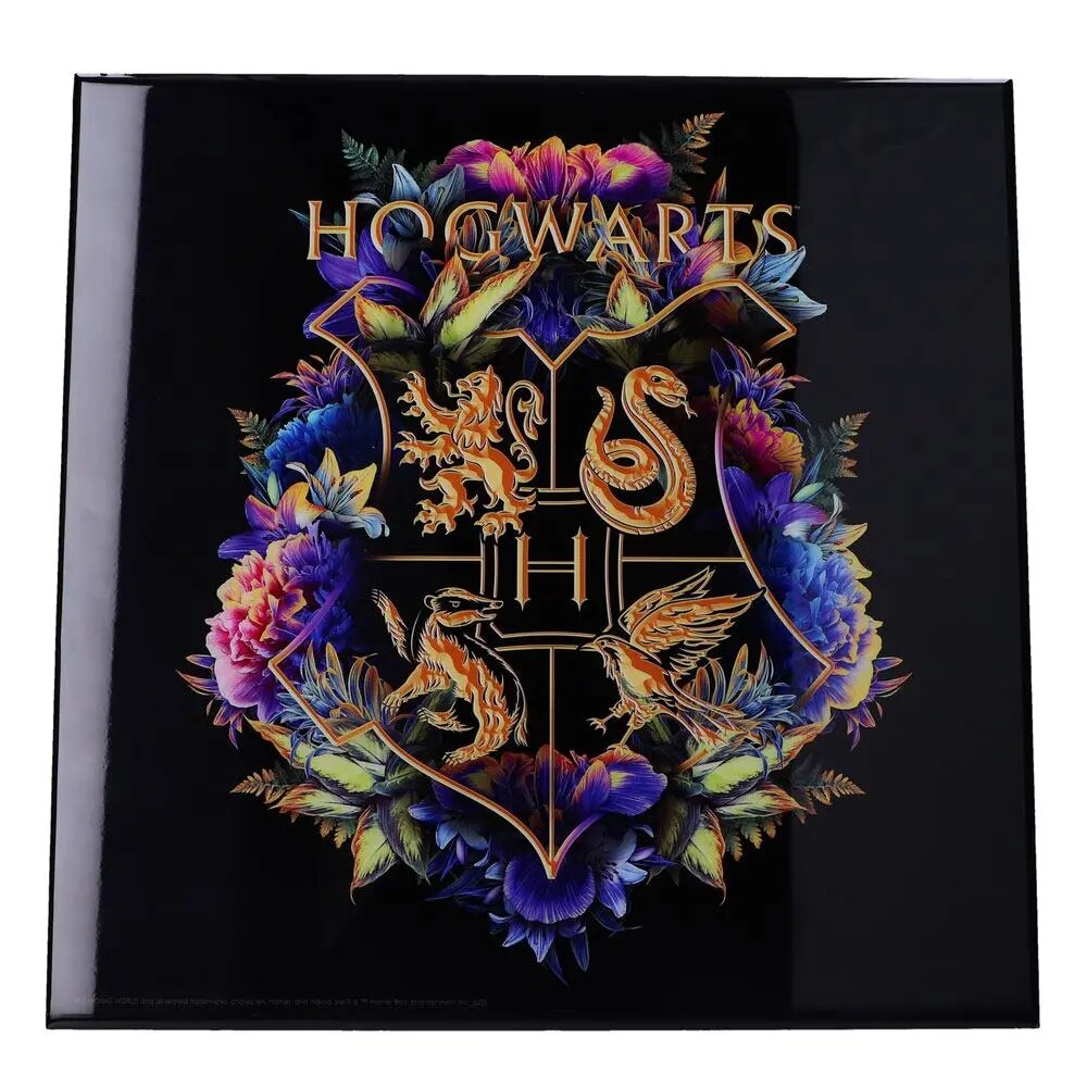 Poza Harry Potter Hogwarts Fine Oddities, 32 x 32 cm - eMAG.ro