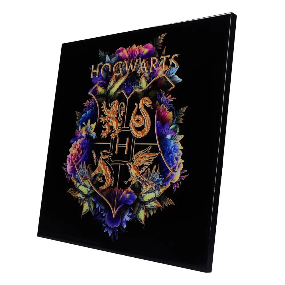 Poza Harry Potter Hogwarts Fine Oddities, 32 x 32 cm - eMAG.ro