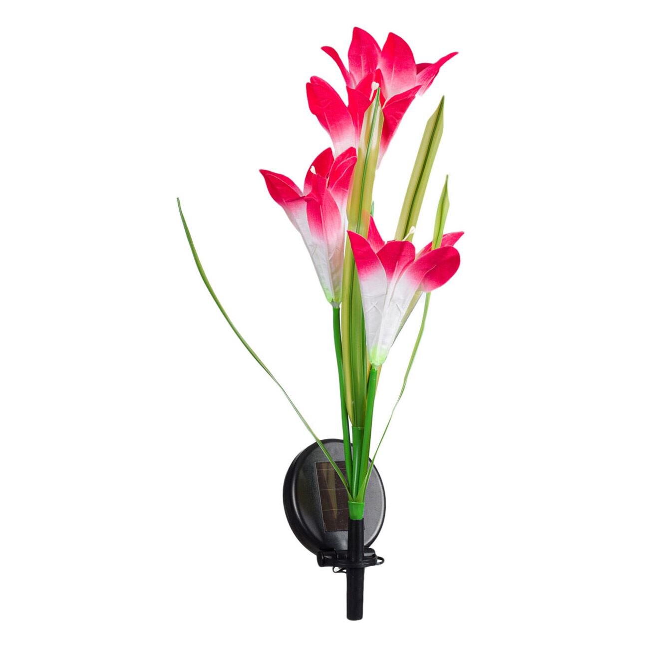 Lampa solara LED, pentru gradina in forma de floare, Multicolor, 66.1 ...