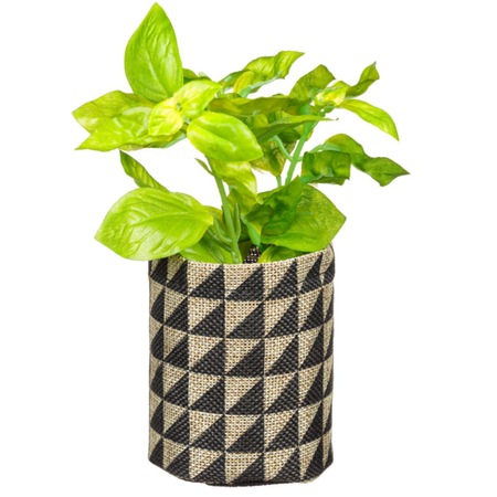 Ghiveci decorativ cu model si busuioc, Bej / Negru, 20 cm - eMAG.ro