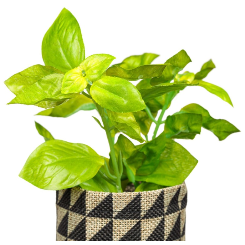 Ghiveci decorativ cu model si busuioc, Bej / Negru, 20 cm - eMAG.ro