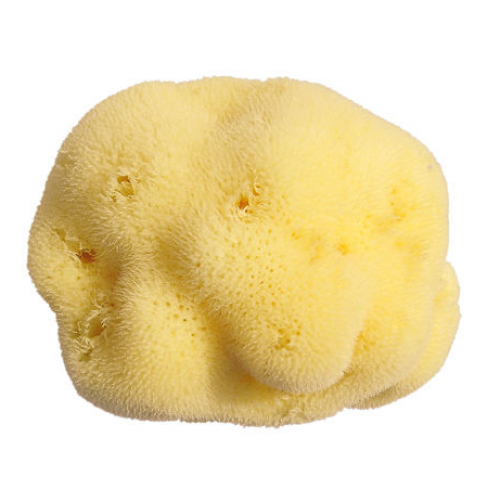 Burete natural de mare Fine Dama R20/1134 - eMAG.ro