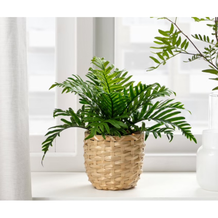 Planta Artificiala In Ghiveci, Sferique, Interior/Exterior, Feriga, 21 ...