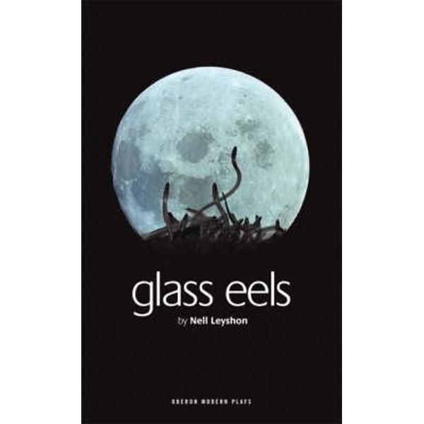 Glass Eels - eMAG.ro