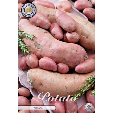Tuberculi, Cartofi Roseval, 10 buc, 480 g - eMAG.ro