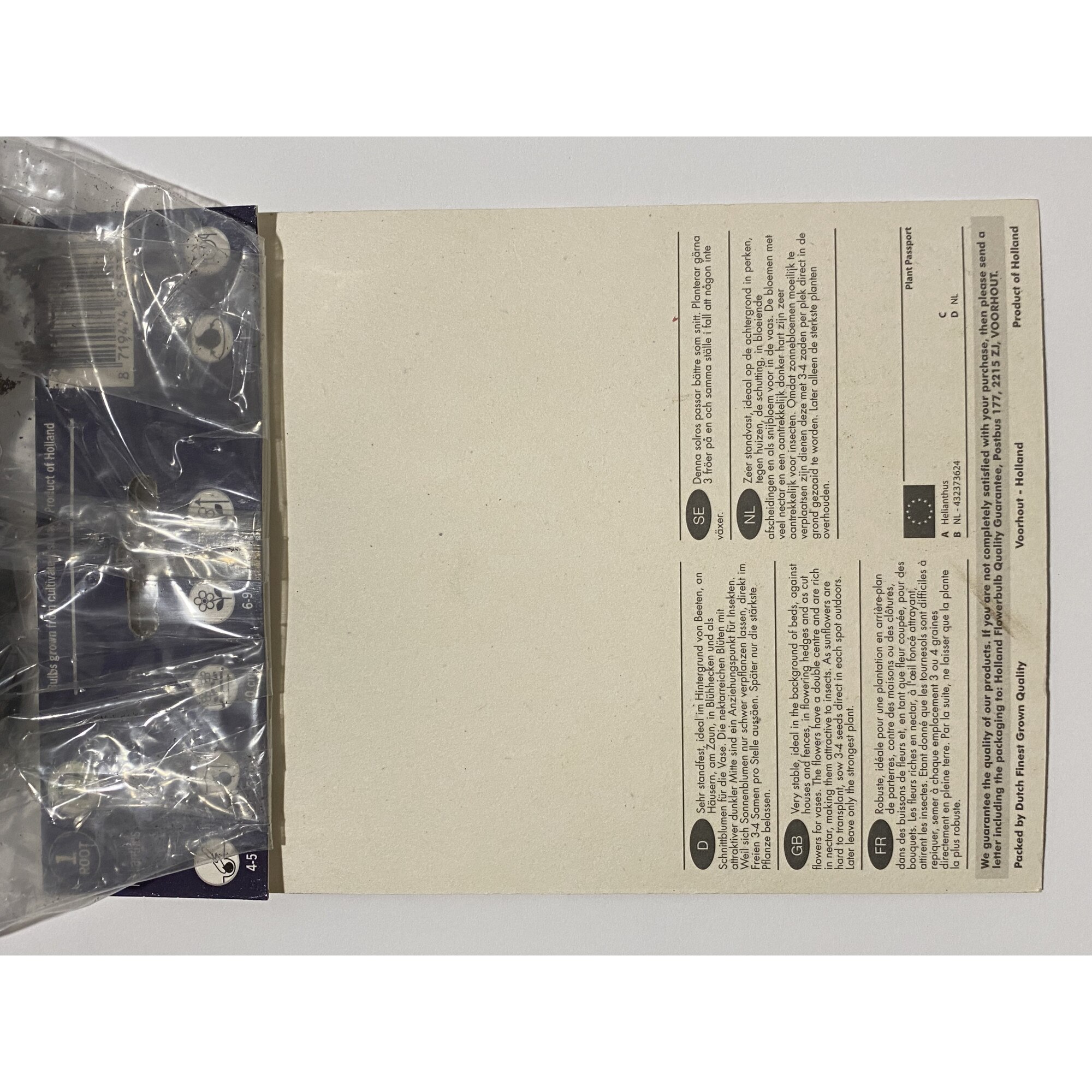 Tuberculi, Cartofi porcesti, Helianthus Tuberosum, 1 buc, 180 g - eMAG.ro