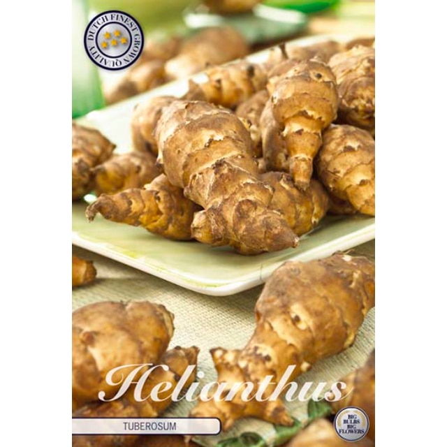 Tuberculi, Cartofi porcesti, Helianthus Tuberosum, 1 buc, 180 g - eMAG.ro