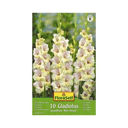 Bulbi gladiola, Mon Amour 100 cm, roz, 10 buc - eMAG.ro