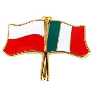 Insigna steag Polonia-Egipt, SteelBlue, Metal, 15x20 mm - eMAG.ro