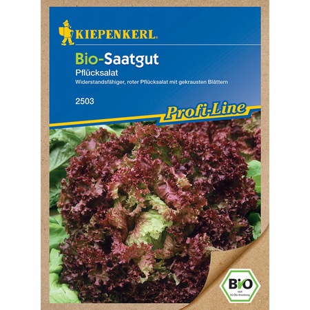 Lollo rosa Bio saláta mag, 80 mag - eMAG.hu