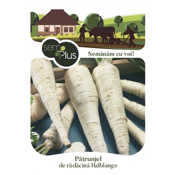 Seminte de patrunjel pentru radacina Halblange, 5G - eMAG.ro