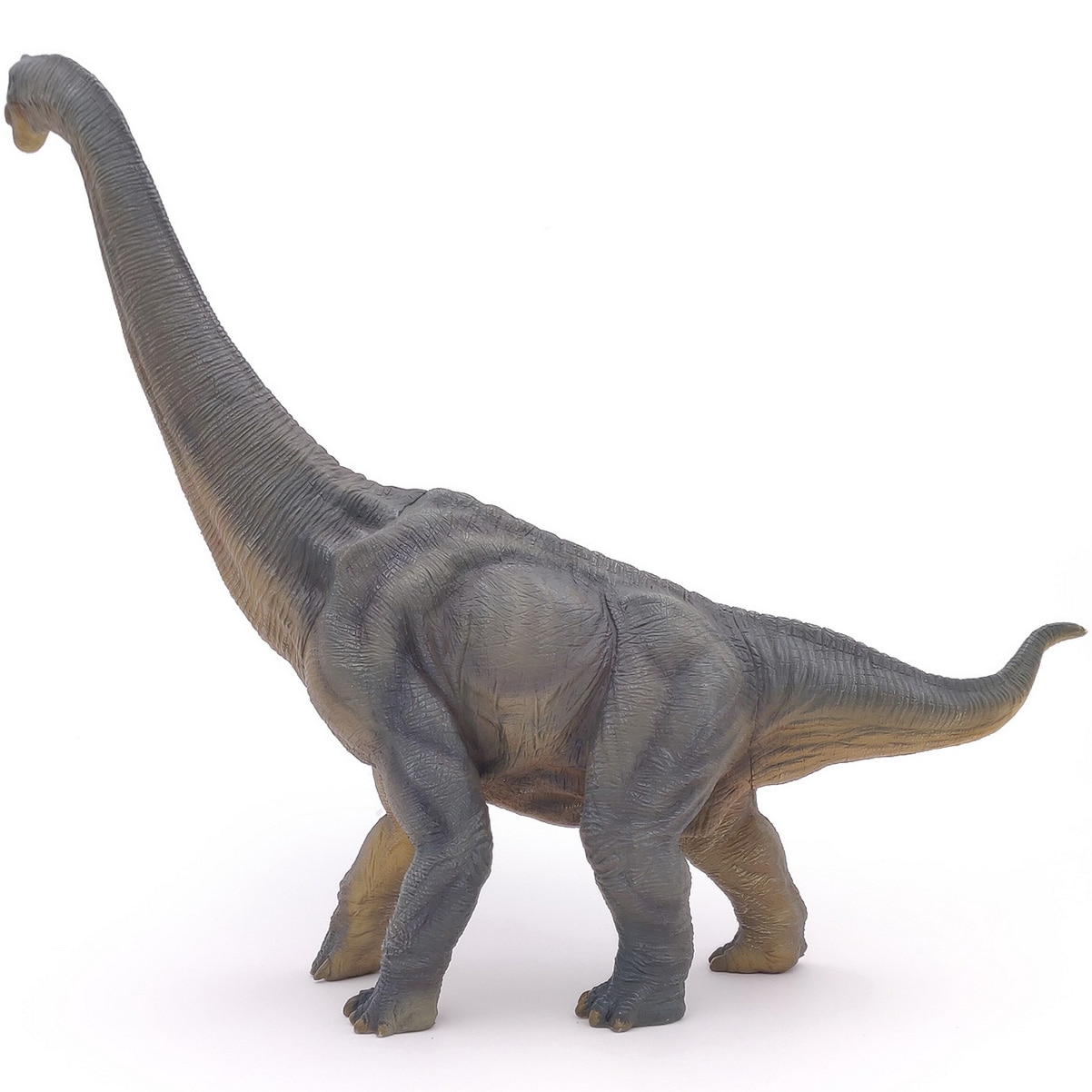 Фигурка Papo - Динозаври, Brachiosaurus - eMAG.bg