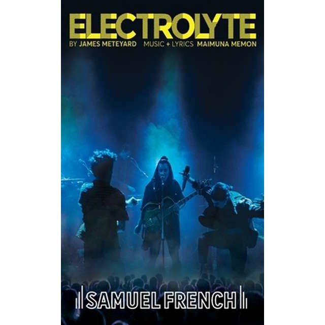 Electrolyte de James Meteyard - eMAG.ro