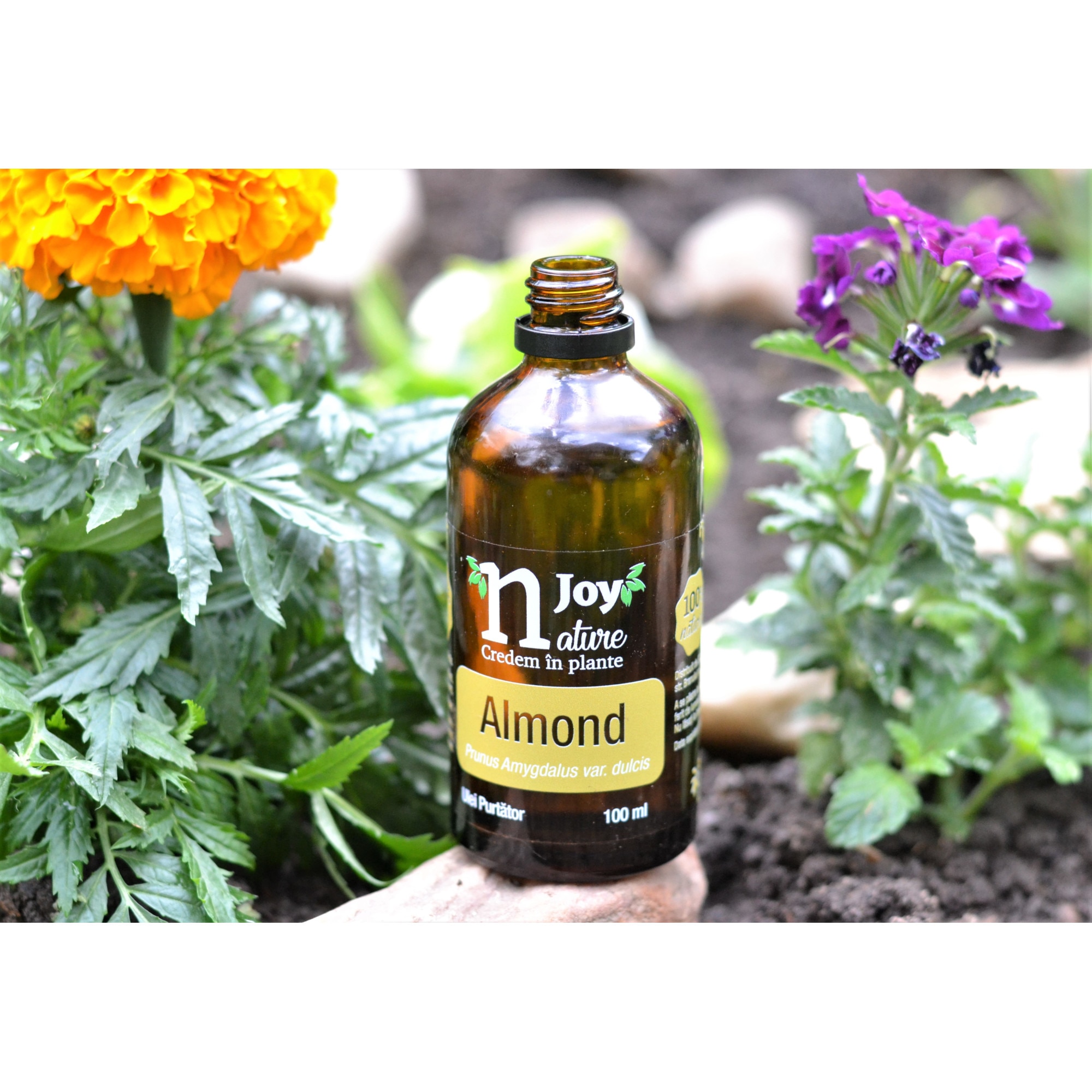 Ulei Migdale, Almond, nJoy Nature, 100 ml - eMAG.ro
