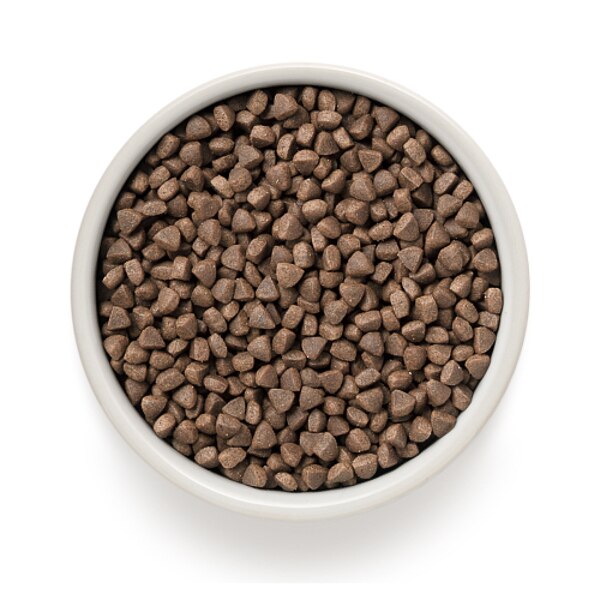 Hrana uscata pentru pisici Grandorf, Rabbit & Brown Rice, Adult ...