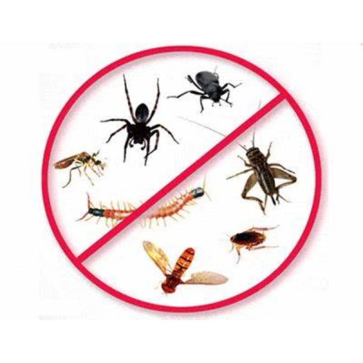 Set Insecticid profesional Spray Draker Rtu, 1 L si Draker 10.2, 50 ml ...