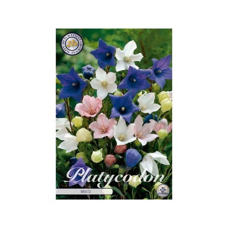 Bulbi Platycodon, Floarea balon, multicolor, 3 buc - eMAG.ro