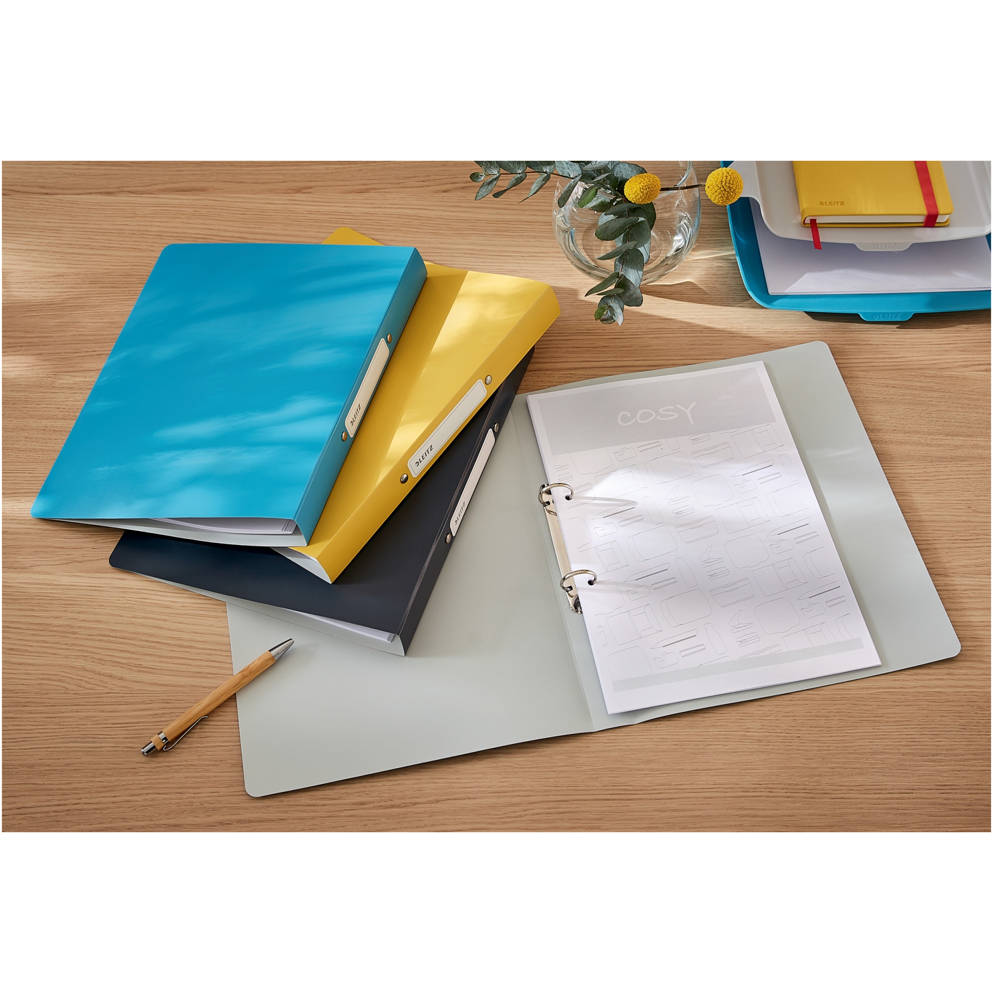 Caiet mecanic Leitz Cosy, PP, A4, mecanism 2 RR, inel 25 mm, coperta ...