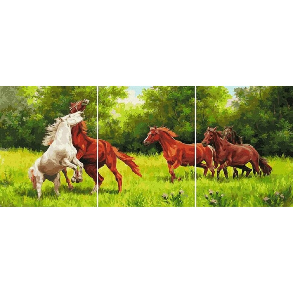 Set 3 picturi pe numere, cu sasiu, Spirit liber, 50 x 120 cm - eMAG.ro