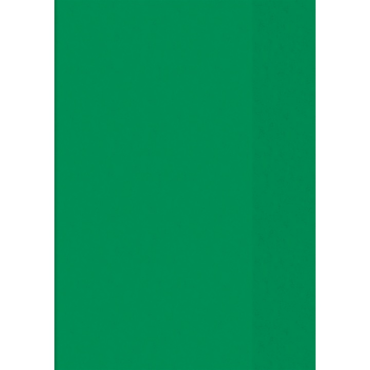 Coperta pentru caiet A4, Brunnen, din plastic rezistent, loc pentru ...