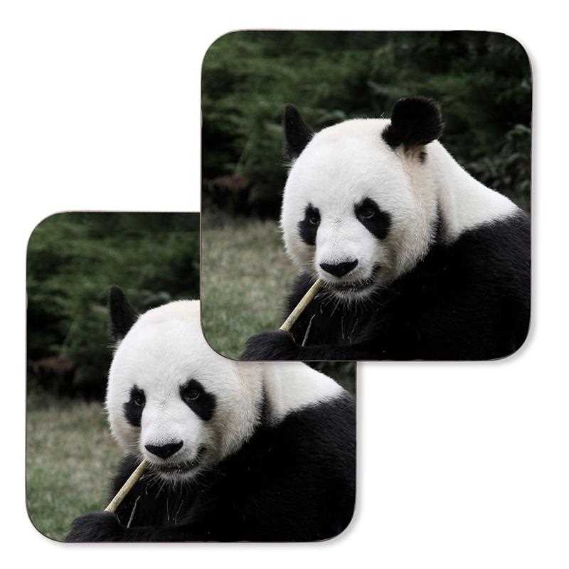 Panda poháralátét - 2 db - eMAG.hu