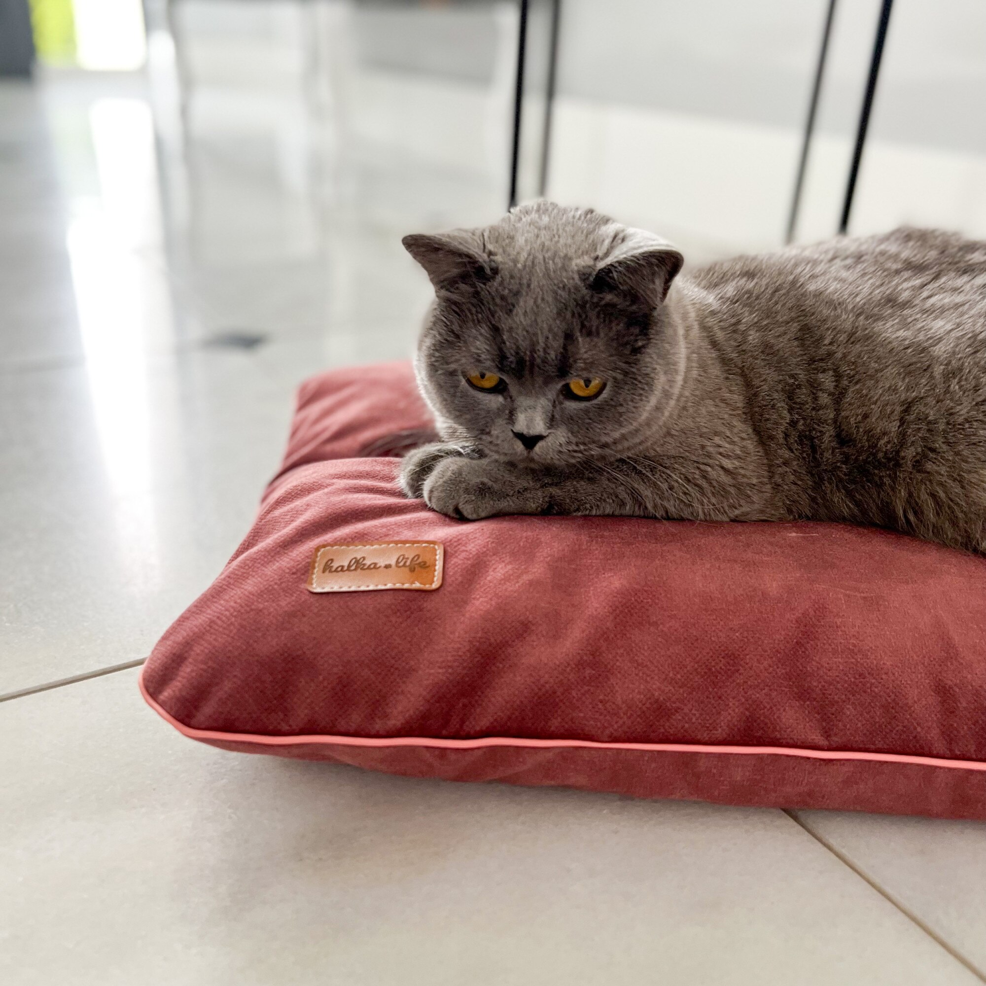 Perna sticla pentru caini si pisici, Halkalife EBIVEL, 60x40 cm, Roz ...