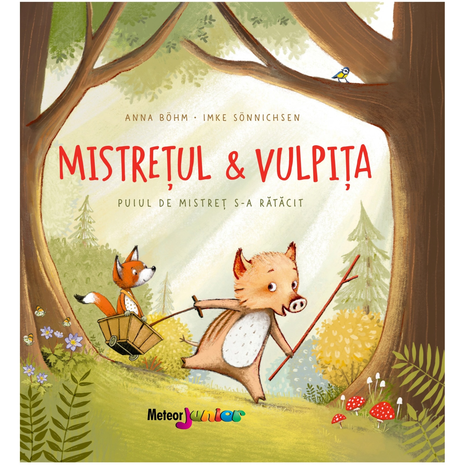 Mistretul & vulpita. Puiul de mistret s-a ratacit, Anna Bohm, Imke ...