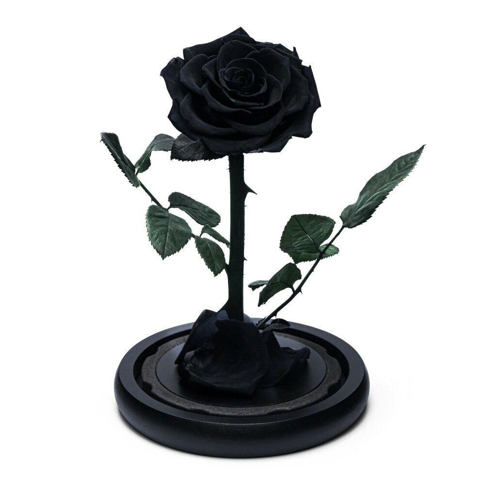 Trandafir Criogenat Premium Negru in Cupola de Sticla, Rezista pana la ...