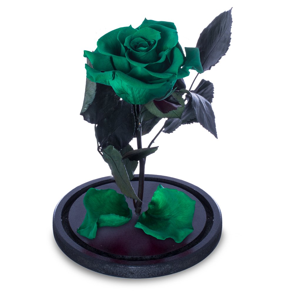 Trandafir Criogenat Verde inchis in Cupola de Sticla, Rezista 25 ani ...