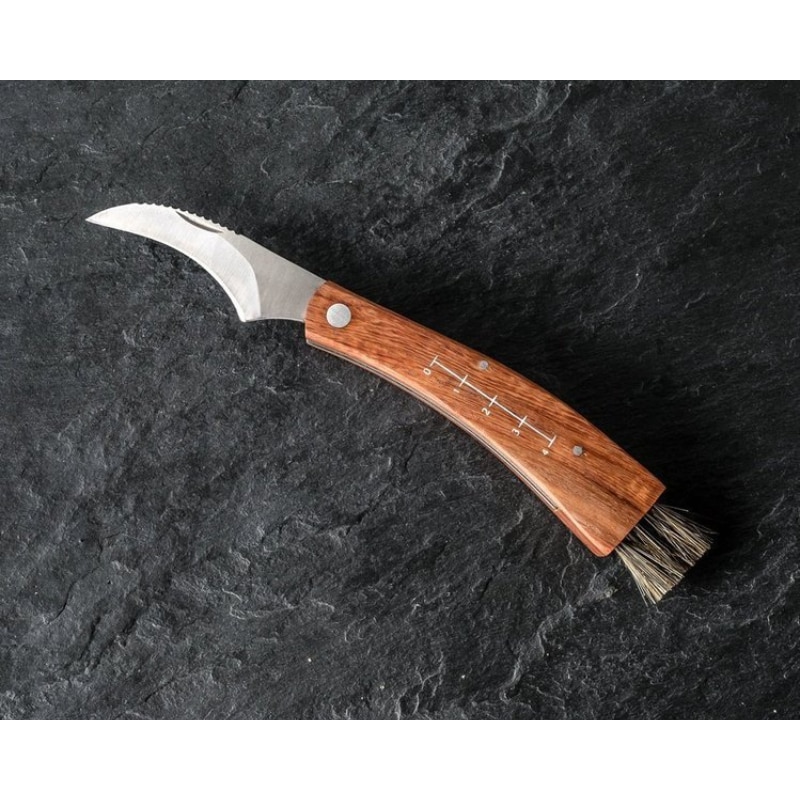 Cutit curbat pentru ciuperci, otel inoxidabil - eMAG.ro