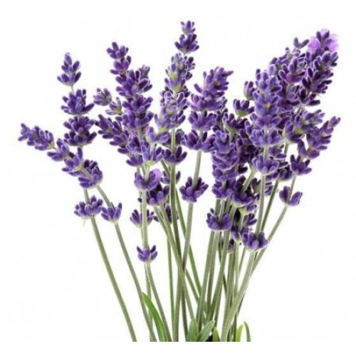 Apa Florala organica, Cu extract de Lavanda, Pentru ten gras/acneic ...