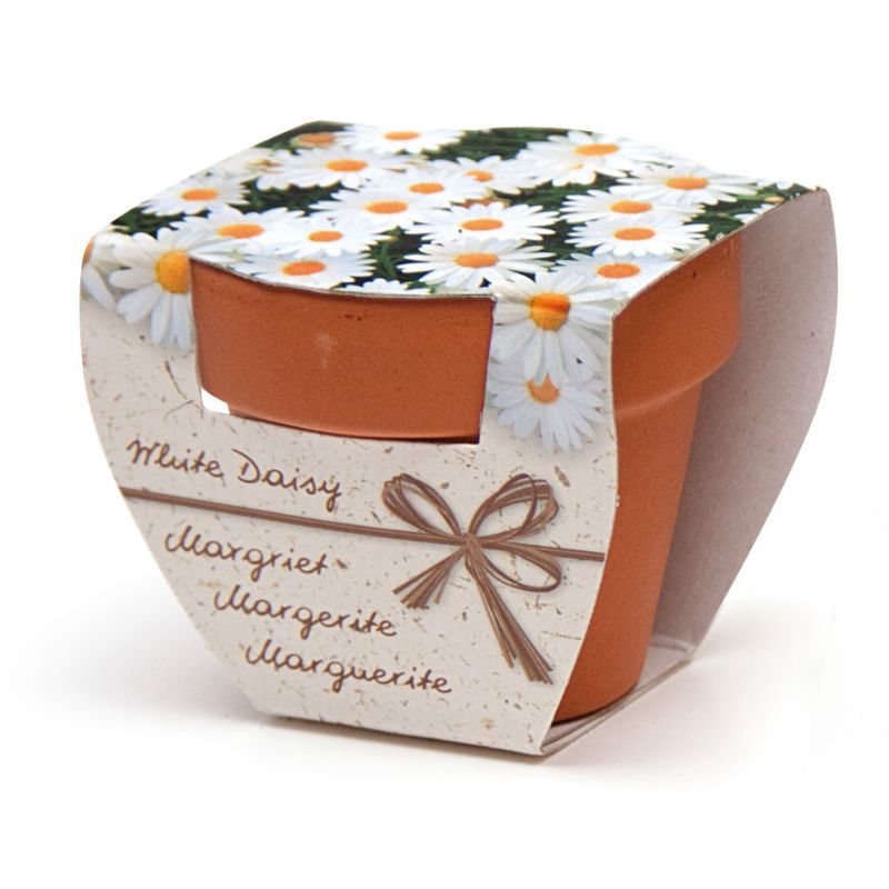 Kit de gradinarit, ghiveci de teracota cu seminte margarete, 65 g - eMAG.ro