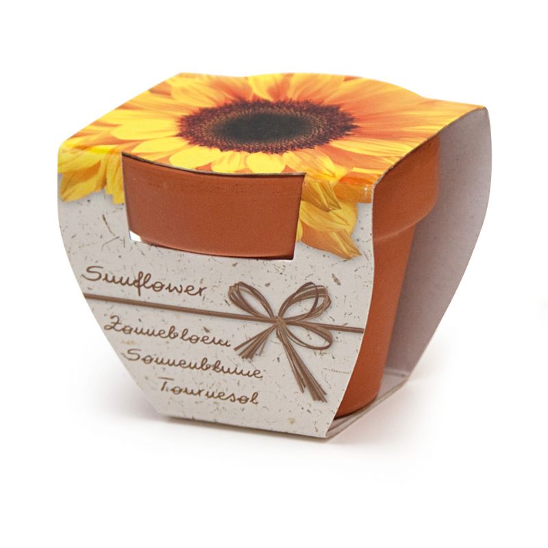 Kit de gradinarit, ghiveci de teracota cu seminte de Floarea Soarelui ...