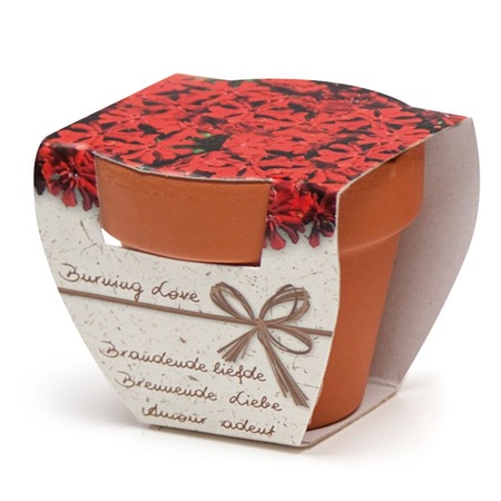 Kit de gradinarit, ghiveci de teracota cu seminte de Crucea ...