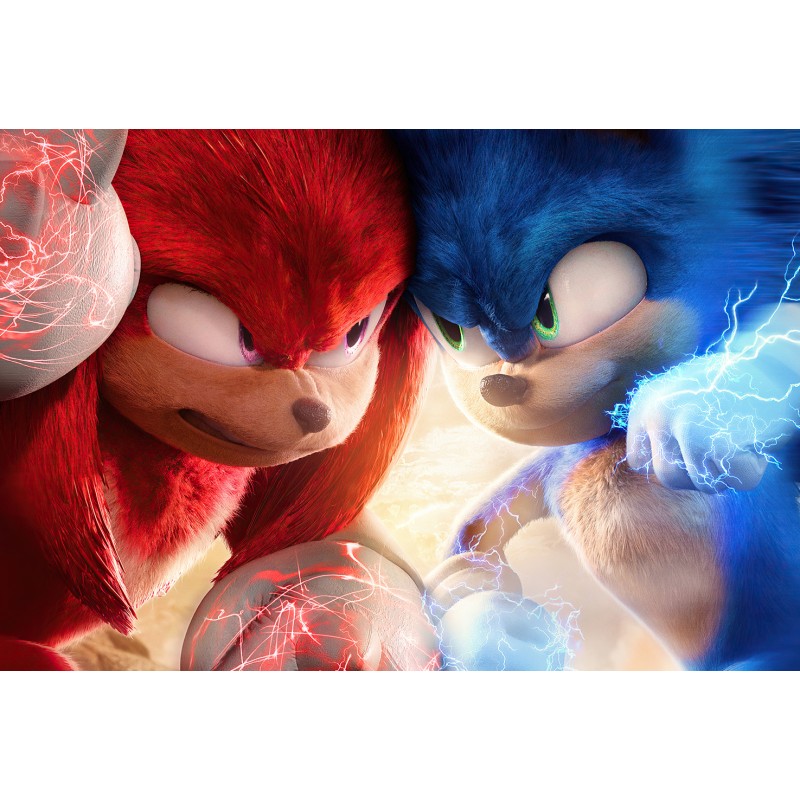 Poster Sonic The Hedgehog 2, 61x90cm, poster476, Multicolor - eMAG.ro