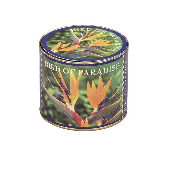 Kit de gradinarit, cutie de metal cu seminte de Strelitza, Pasarea ...